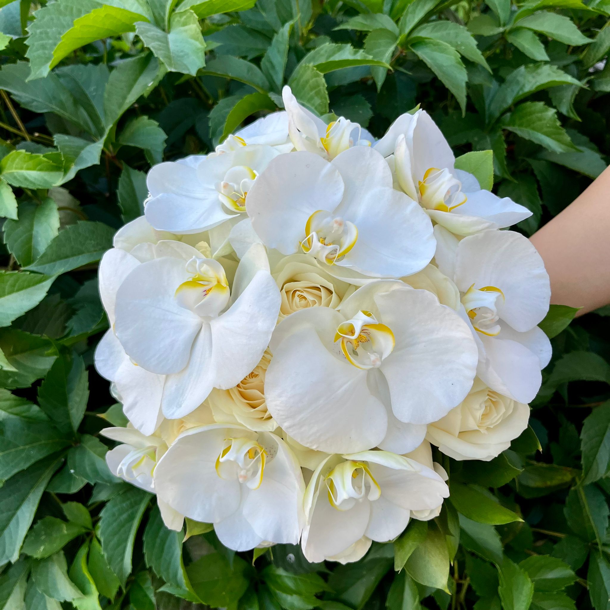 Buchet mireasa orhidee phalaenopsis si trandafiri ivoire – Atelier ...