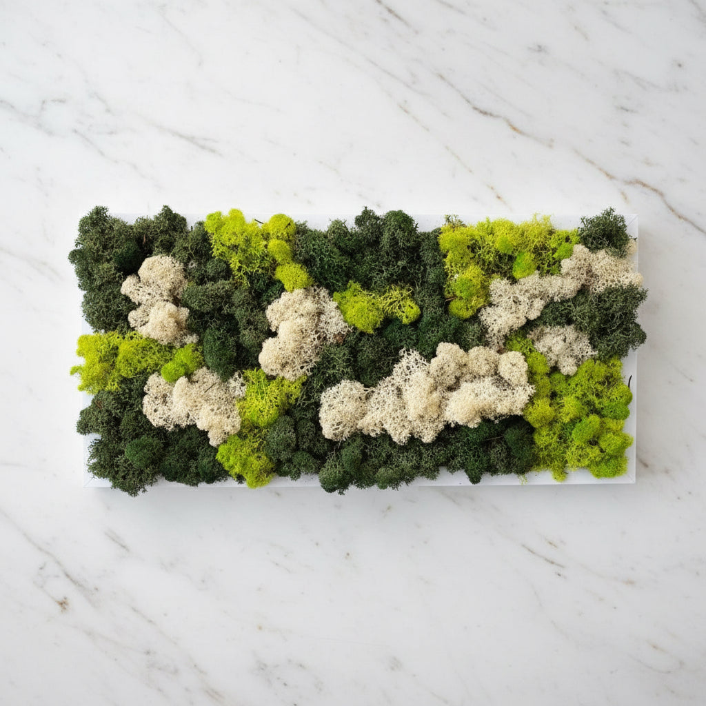Painting with stabilized and decorative lichens, attractive price ...
